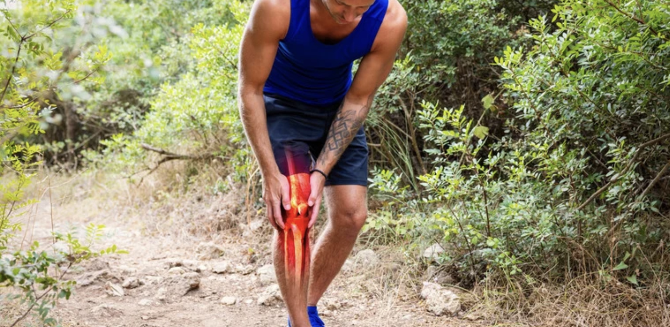 Prism Light Pod | Whole Body Red Light Therapy